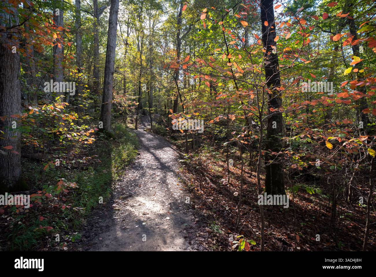 Hiking trail in the Giant City State Park part of the Shawnee National ...
