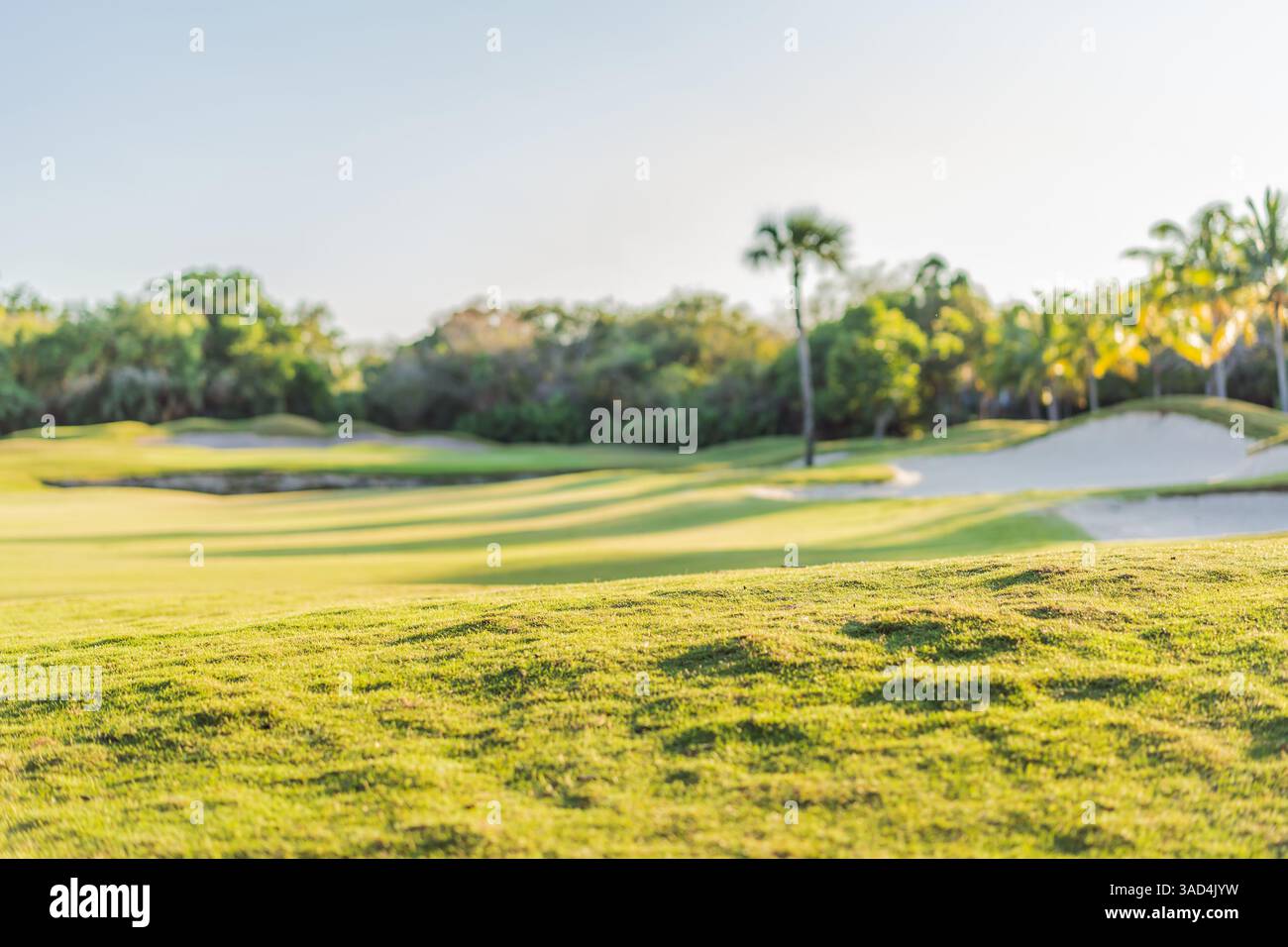 Scenic golf course with palm trees. Tropical landscape with lush green ...