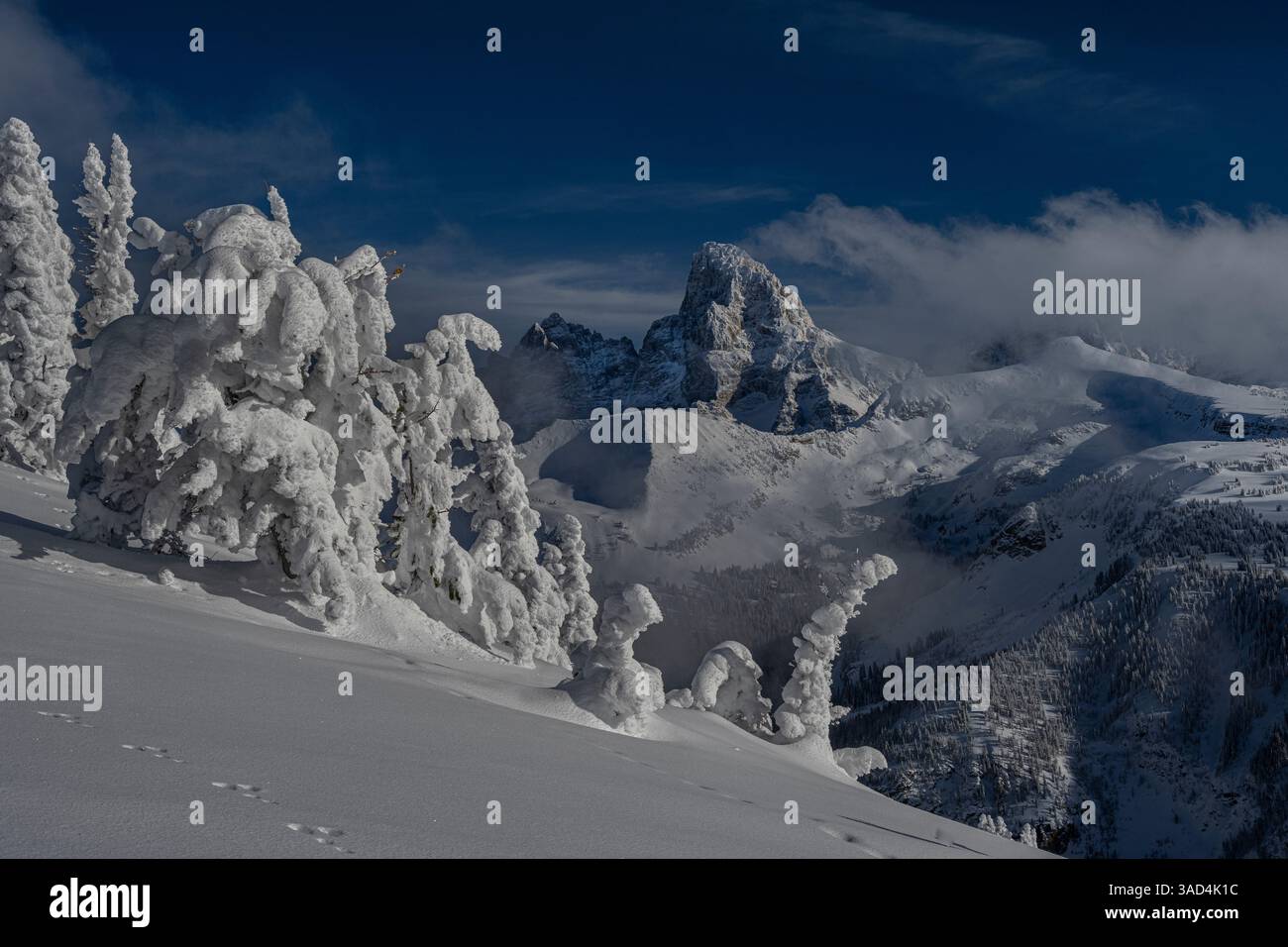 USA, Wyoming. Rabbit tracks and snowy landscape on west side of Teton ...