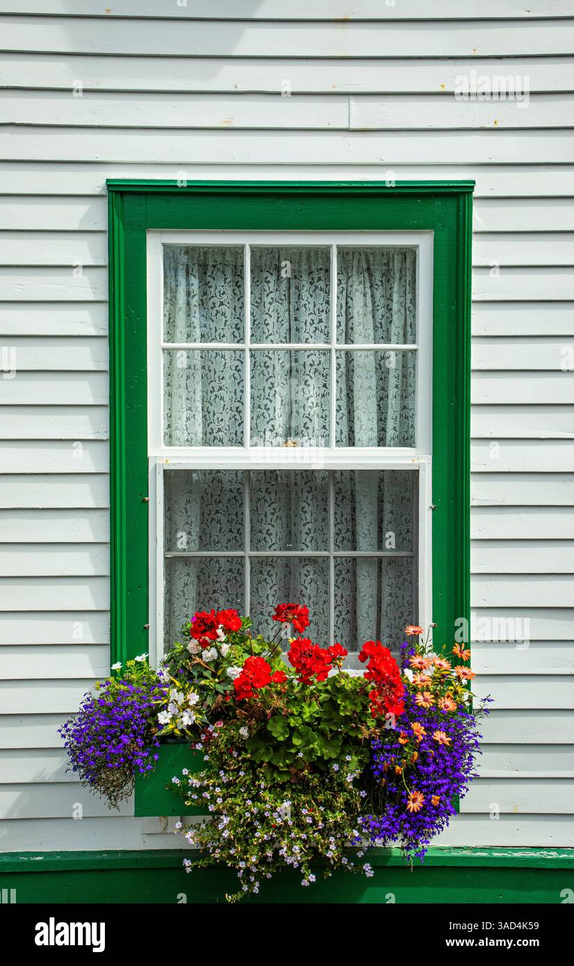 Brigus newfoundland hi-res stock photography and images - Alamy