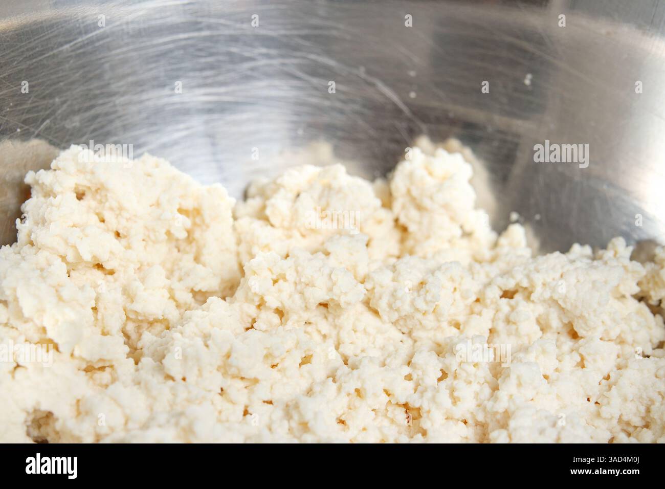 Homemade cottage cheese in stainless steel bowl. Crumbly white creamy ...