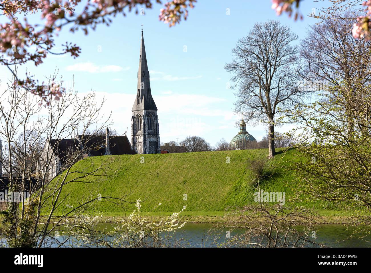 Cherry Blossom in Langelinie park on a beautiful spring day. Sakura ...