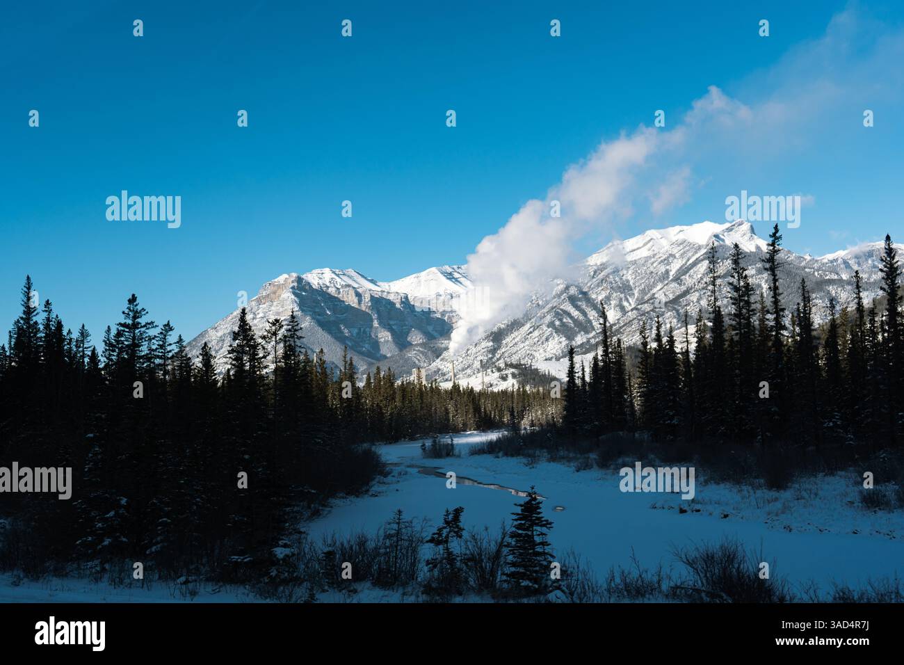 Thick factory smoke rising into the air, illustrating the impact of ...