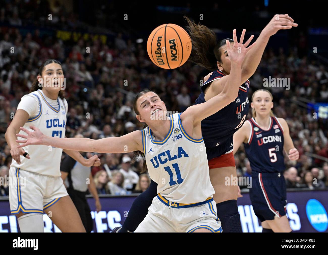 Jana el alfy uconn hi-res stock photography and images - Alamy