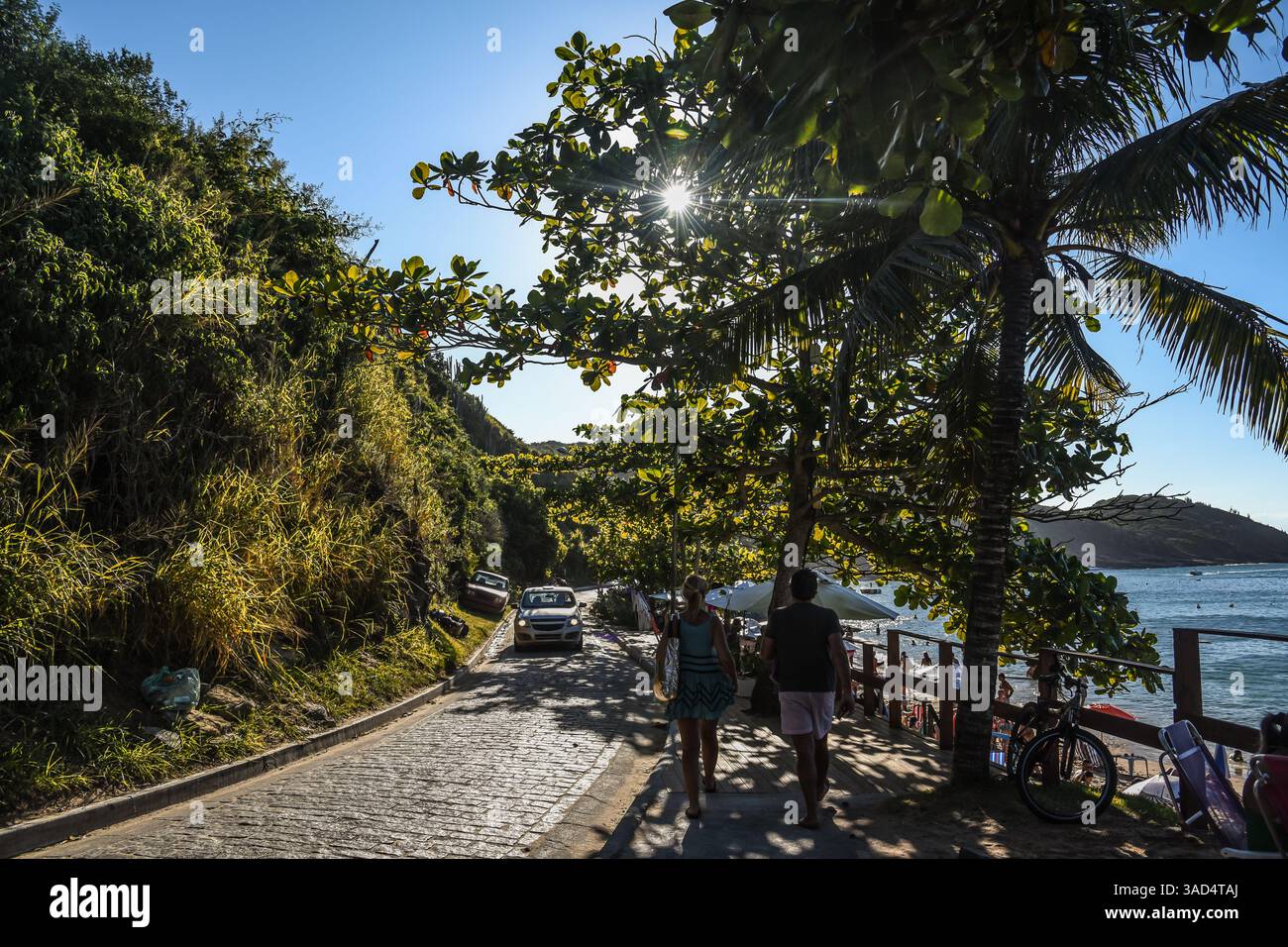 Cobblestone Road and Tropical Foliage Near João Fernandes Beach ...