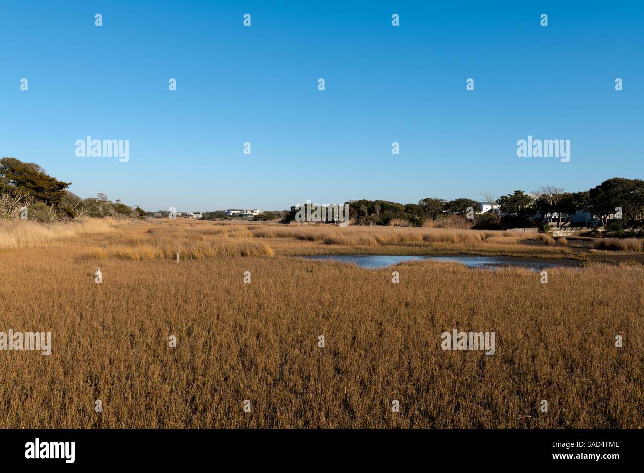 Elevated homes border the edge of a coastal marsh in Oak Island, North ...