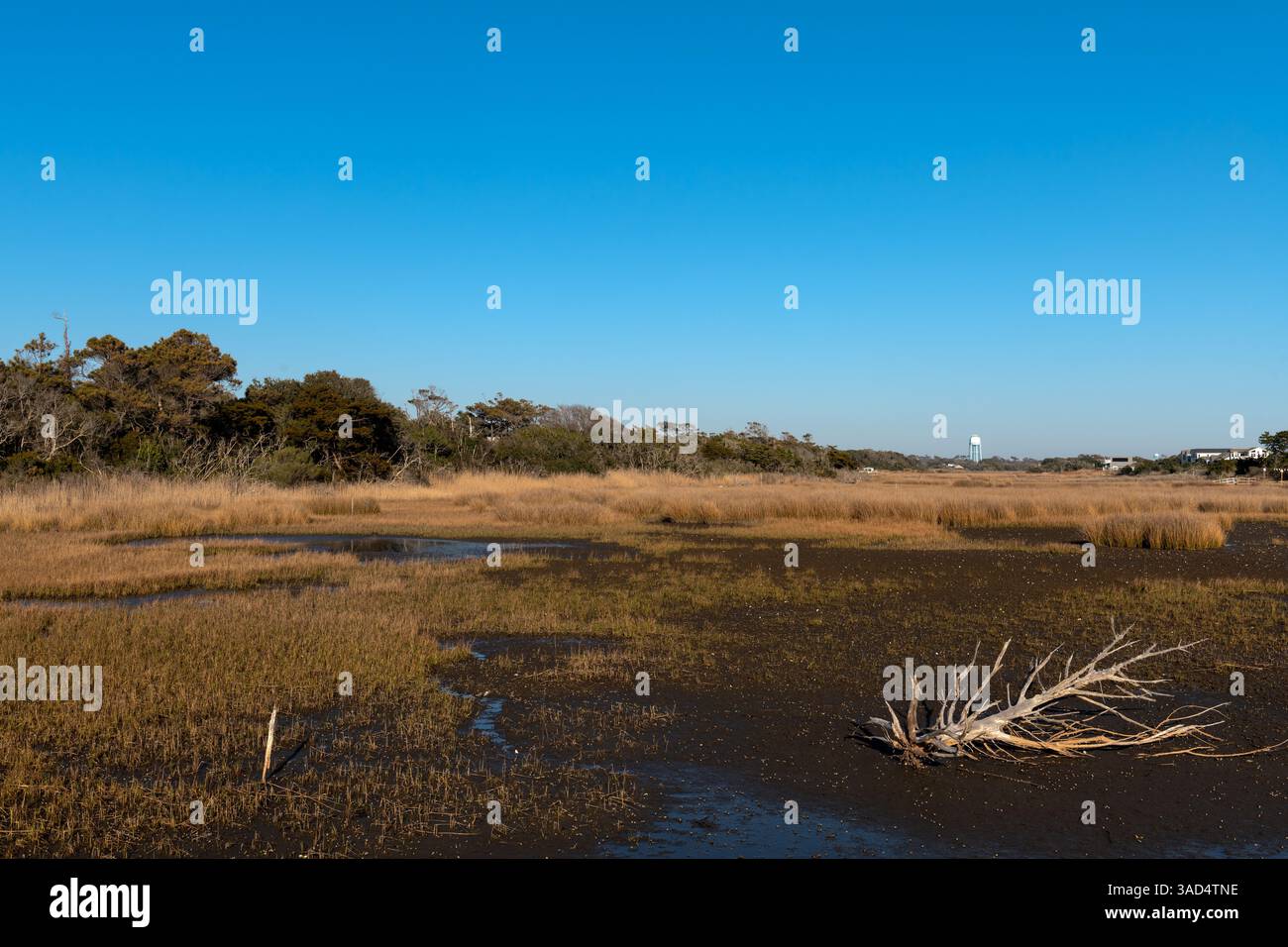 Elevated homes border the edge of a coastal marsh in Oak Island, North ...