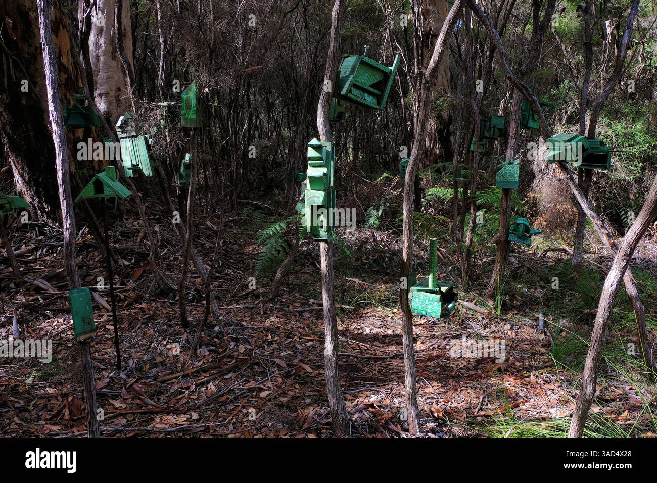 Northcliffe: Floating Town by Peter Hill at Understory Art & Nature ...