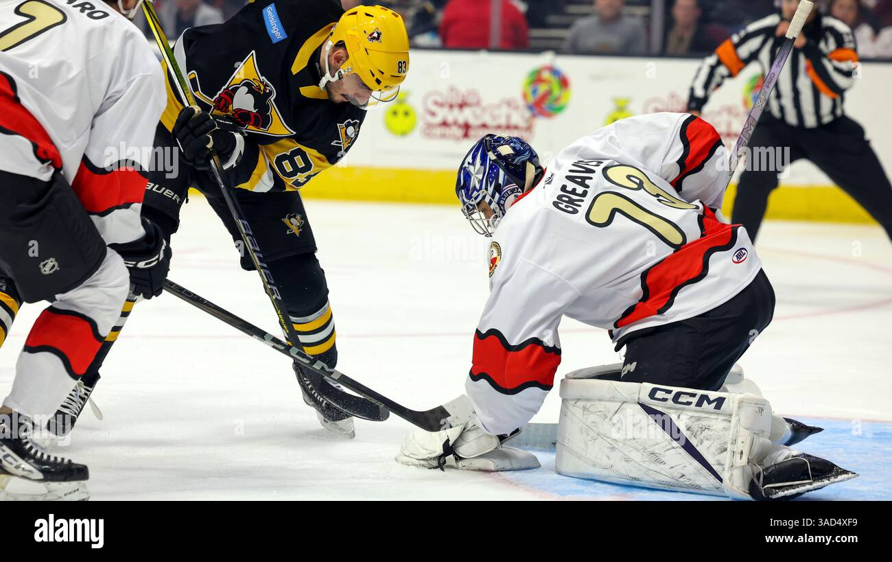 CLEVELAND, OH - APRIL 04: Cleveland Monsters goaltender Jet Greaves (73 ...