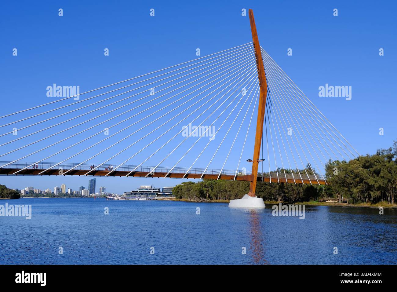 Perth: Boorloo pedestrian and cycle cable-stayed bridge with city ...
