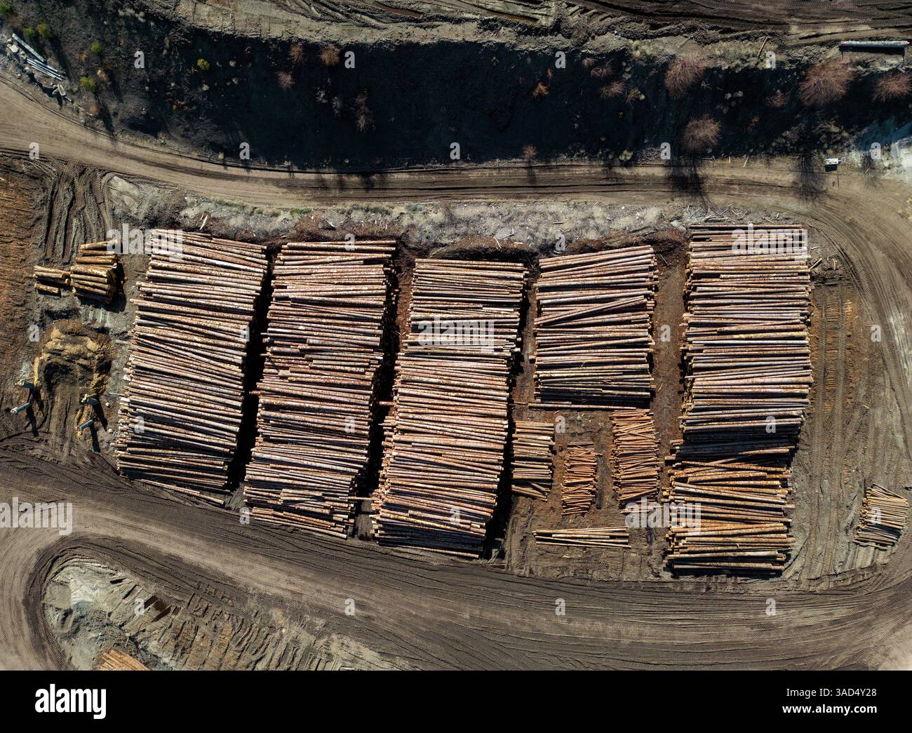 West Kelowna, Canada. 04th Apr, 2025. In an aerial view, logs are seen ...
