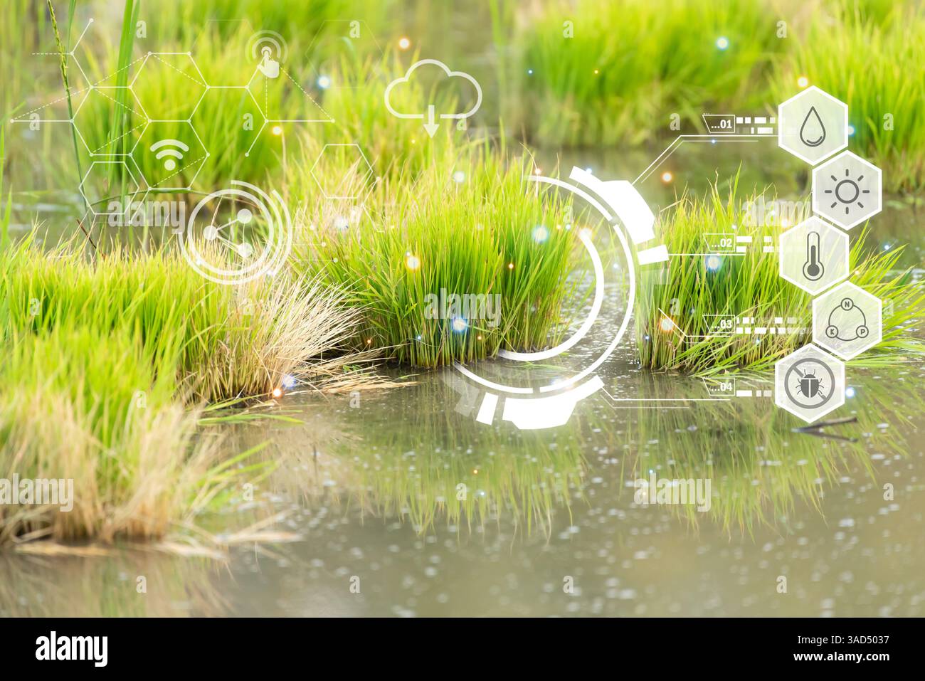 Smart farm digital icon and futuristic AI data infographic of Watering ...