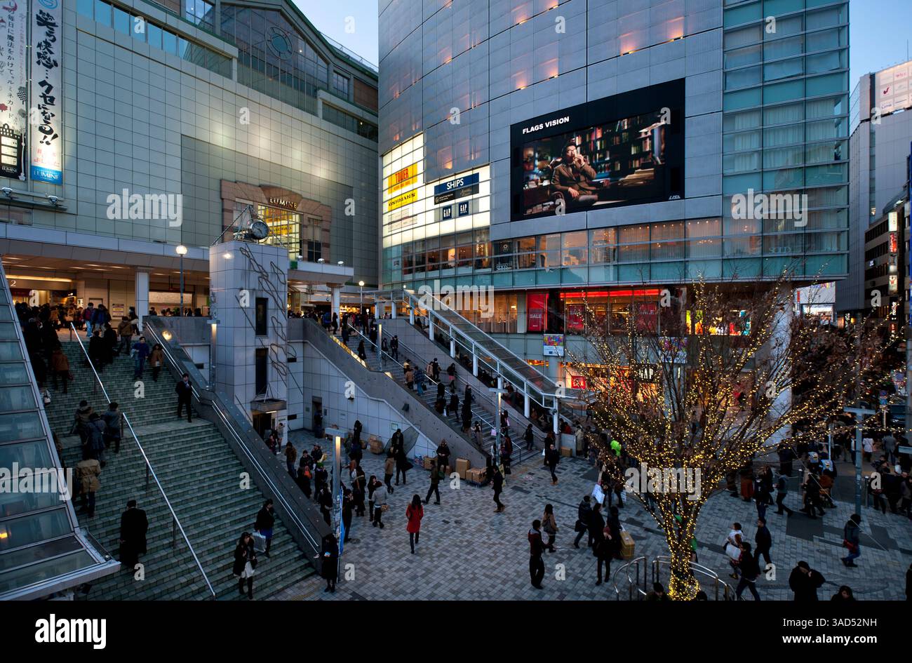 Neon signs light up the building facades in the Minami Shinjuku ...