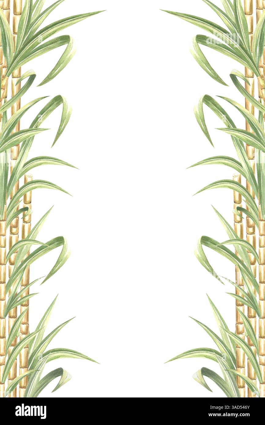 Sugar cane stalks with leaves watercolor vertical frame isolated ...