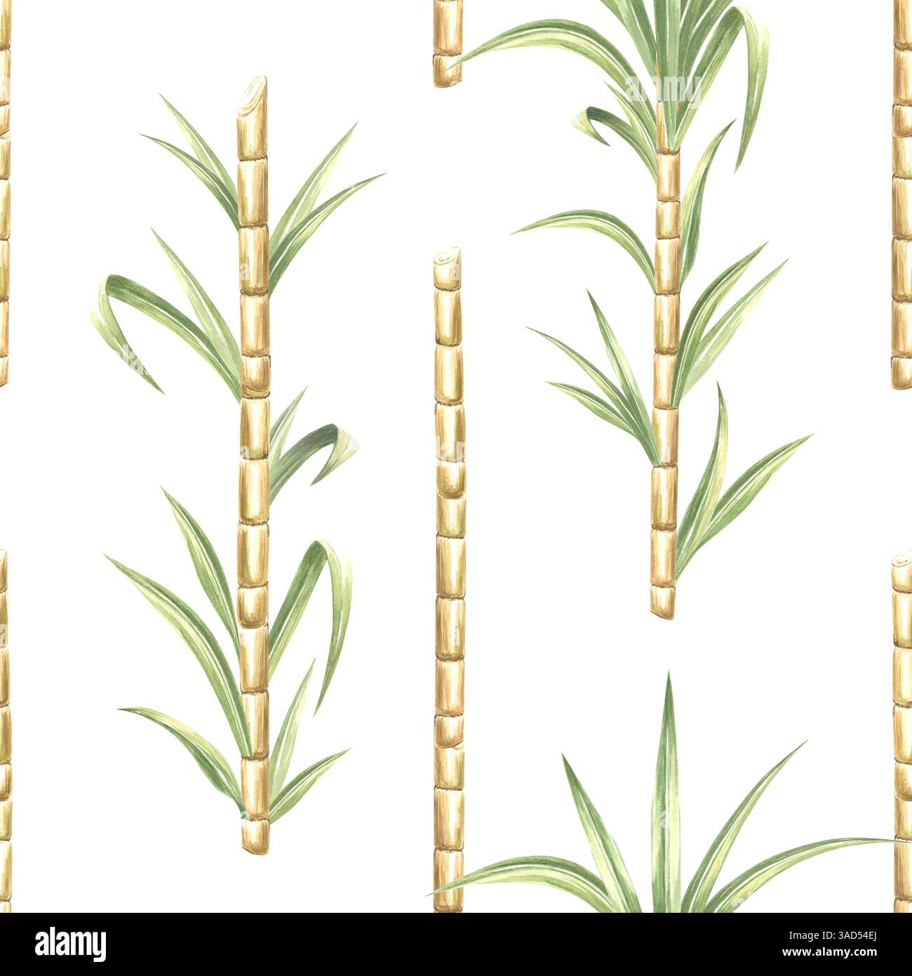Sugar cane stalks with leaves seamless pattern. Bamboo shoots hand ...