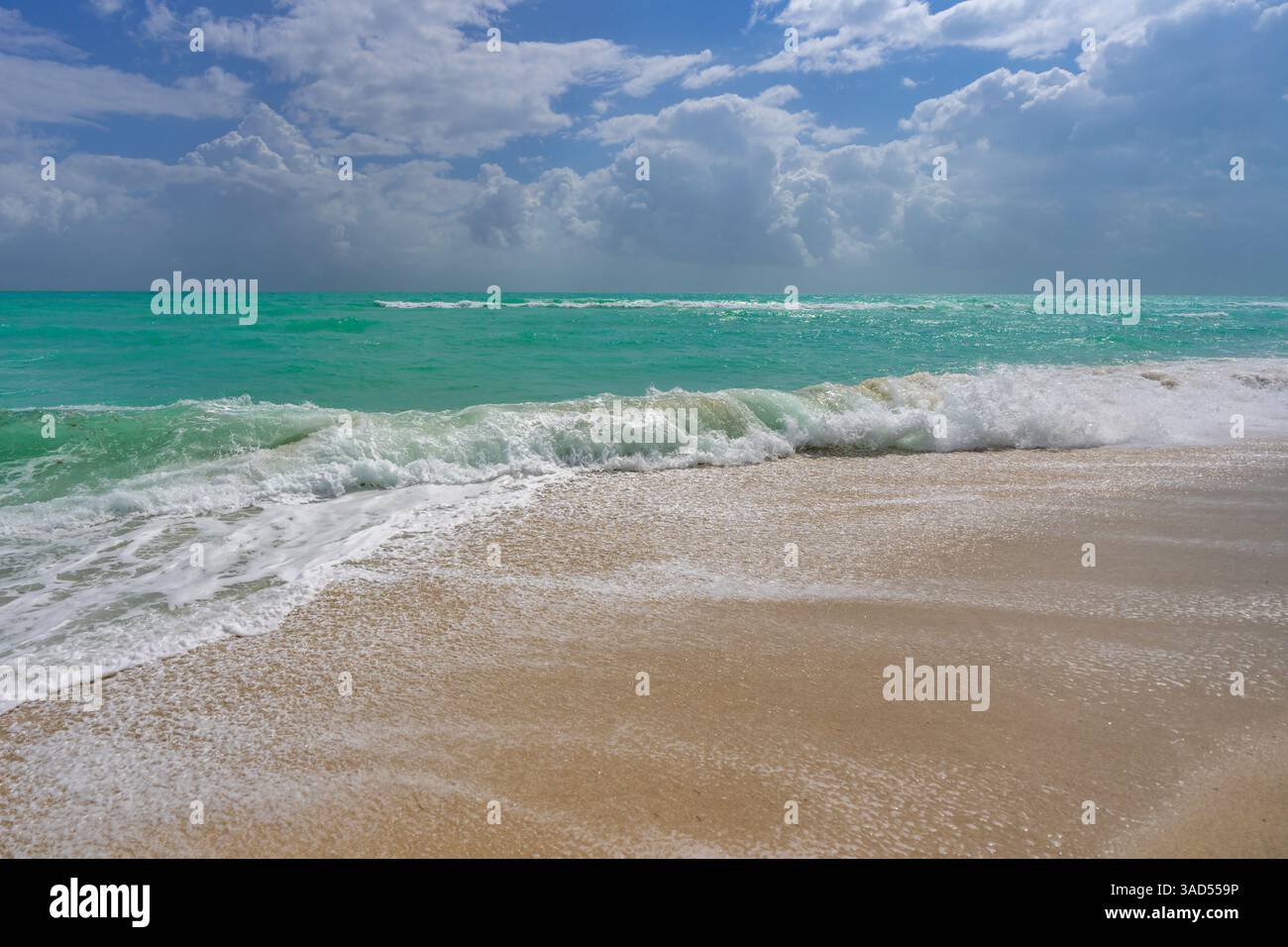 Ocean wave motion on sea shore. Summer sea breeze. Sea nature backdrop ...
