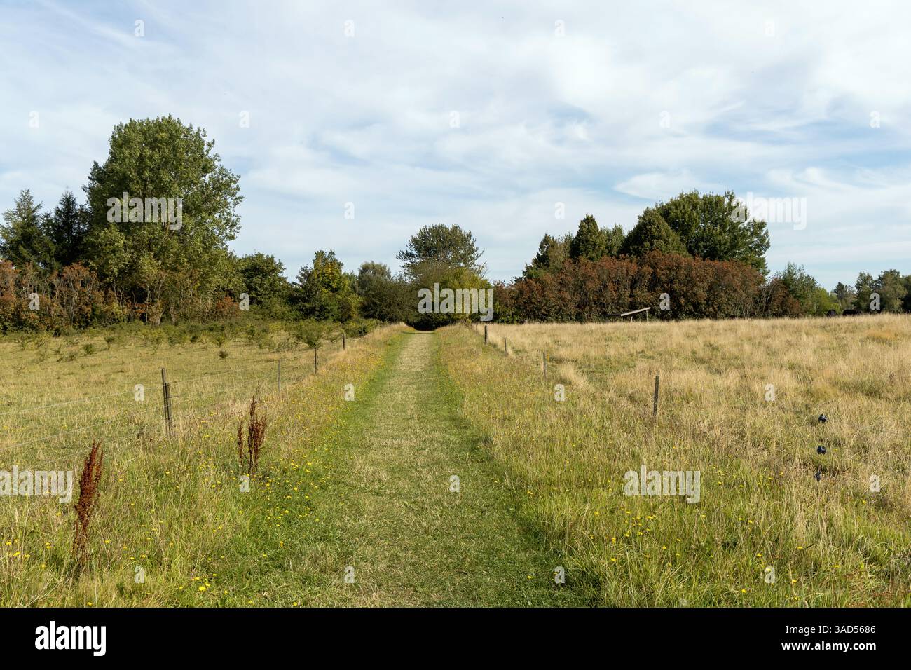 Country road among fields and forests. Rural landscape. High quality ...