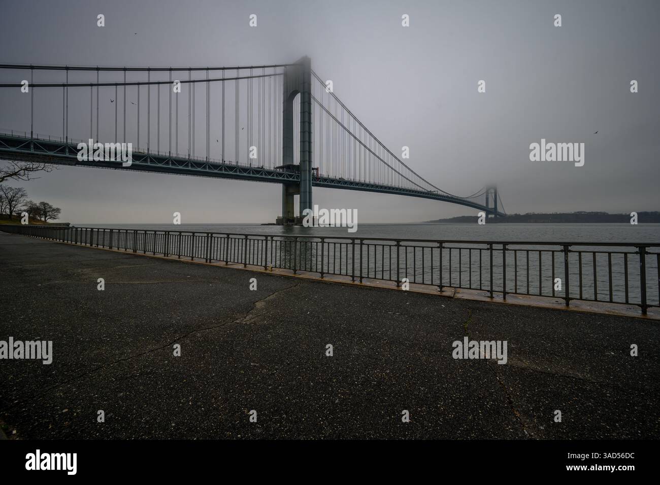 Verrazano Narrows Bridge on a foggy spring day, Brooklyn, NY, USA Stock ...