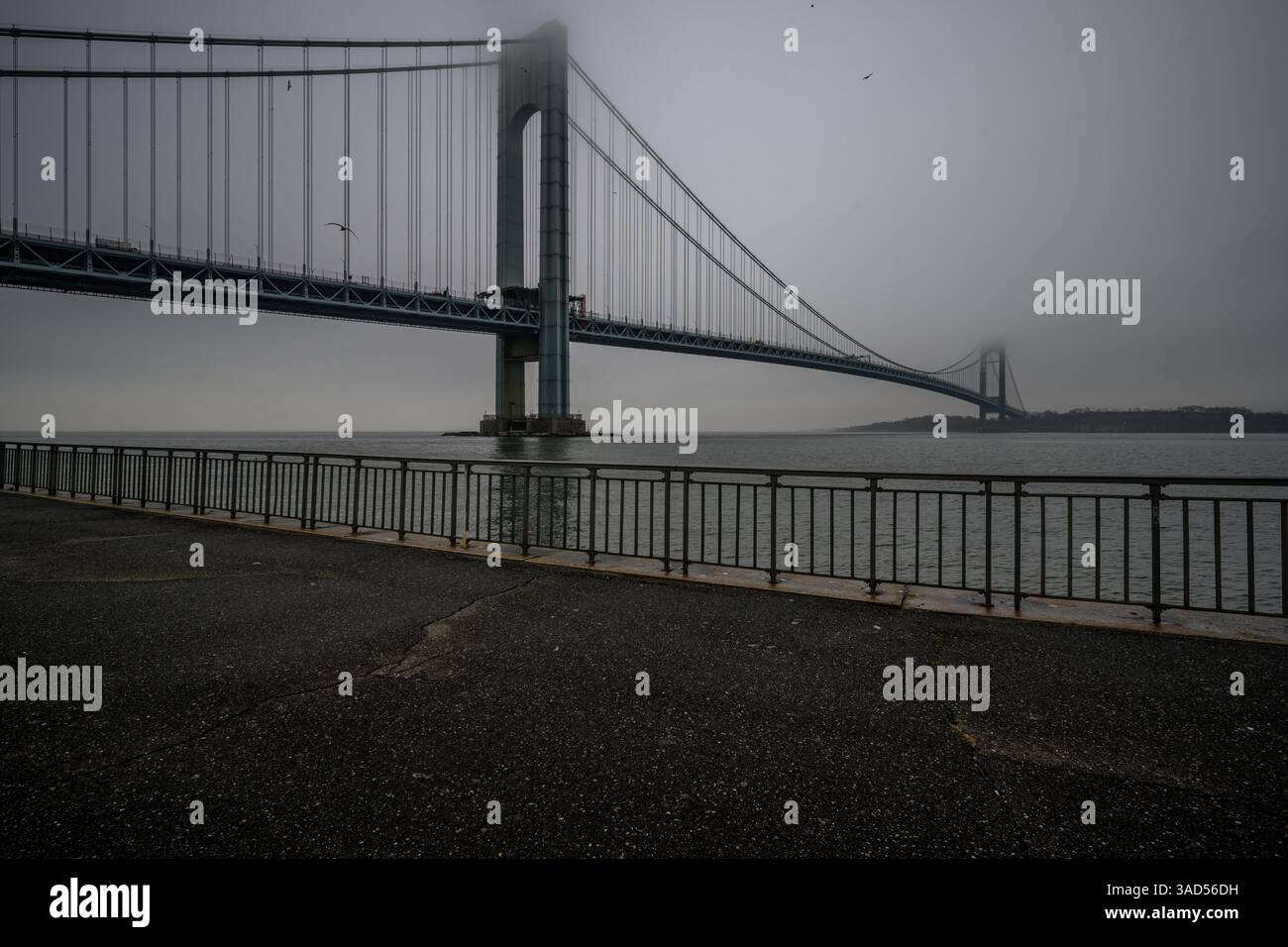 Verrazano Narrows Bridge on a foggy spring day, Brooklyn, NY, USA Stock ...