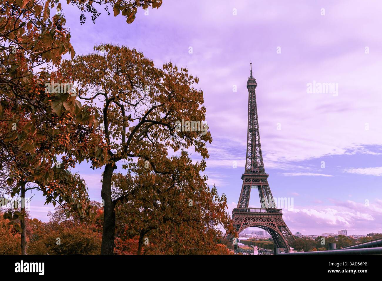 The Eiffel Tower is beautifully surrounded by lush greenery in the ...