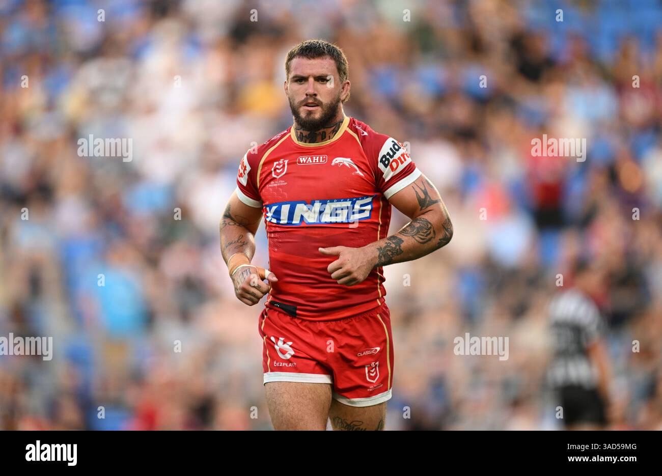 Ray Stone of the Dolphins is sent to the bin during the NRL Round 5 ...