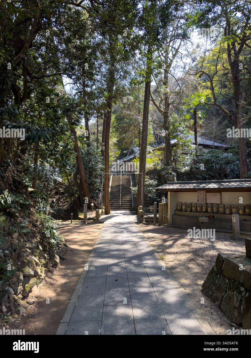 23rd March 2025, Shikokuchuo, Ehime, Japan - Maegamiji is temple 64 of the Shikoku Pilgrimage ...