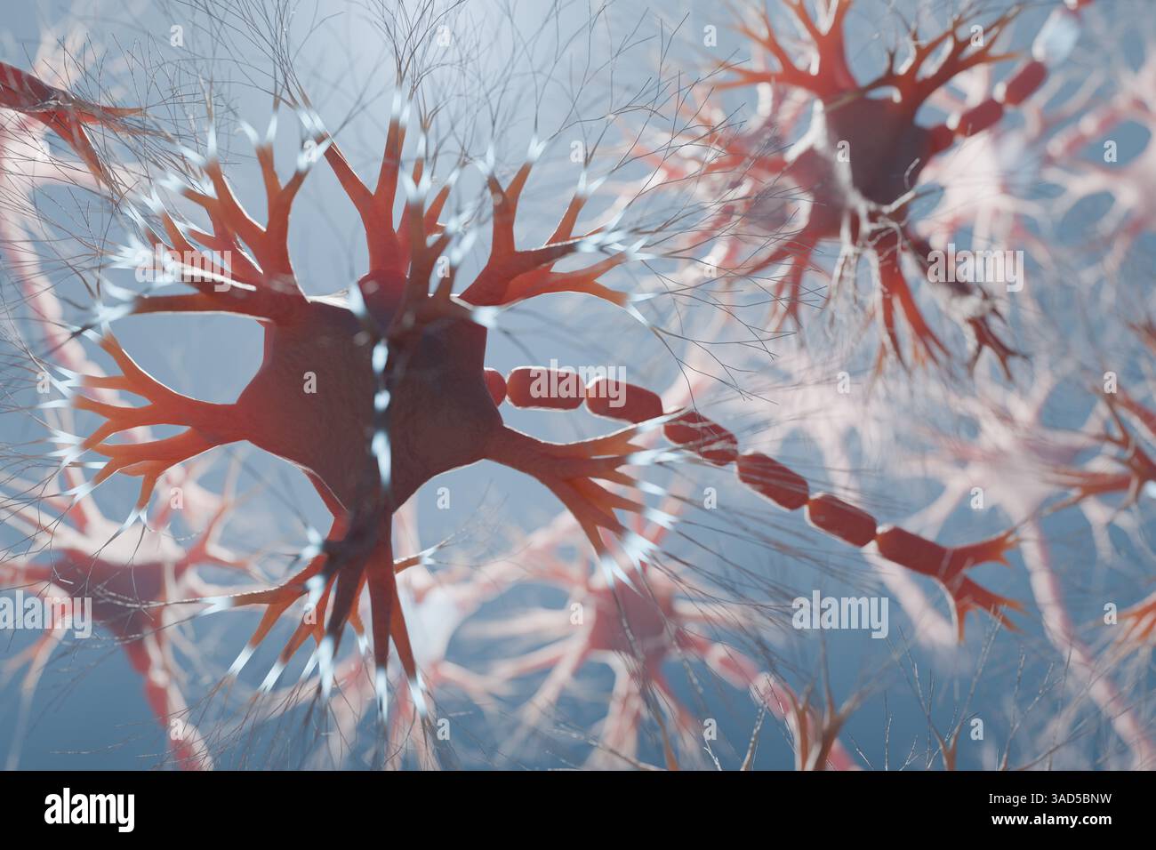 Neuron cells in human brain with glowing signals. 3D rendered ...