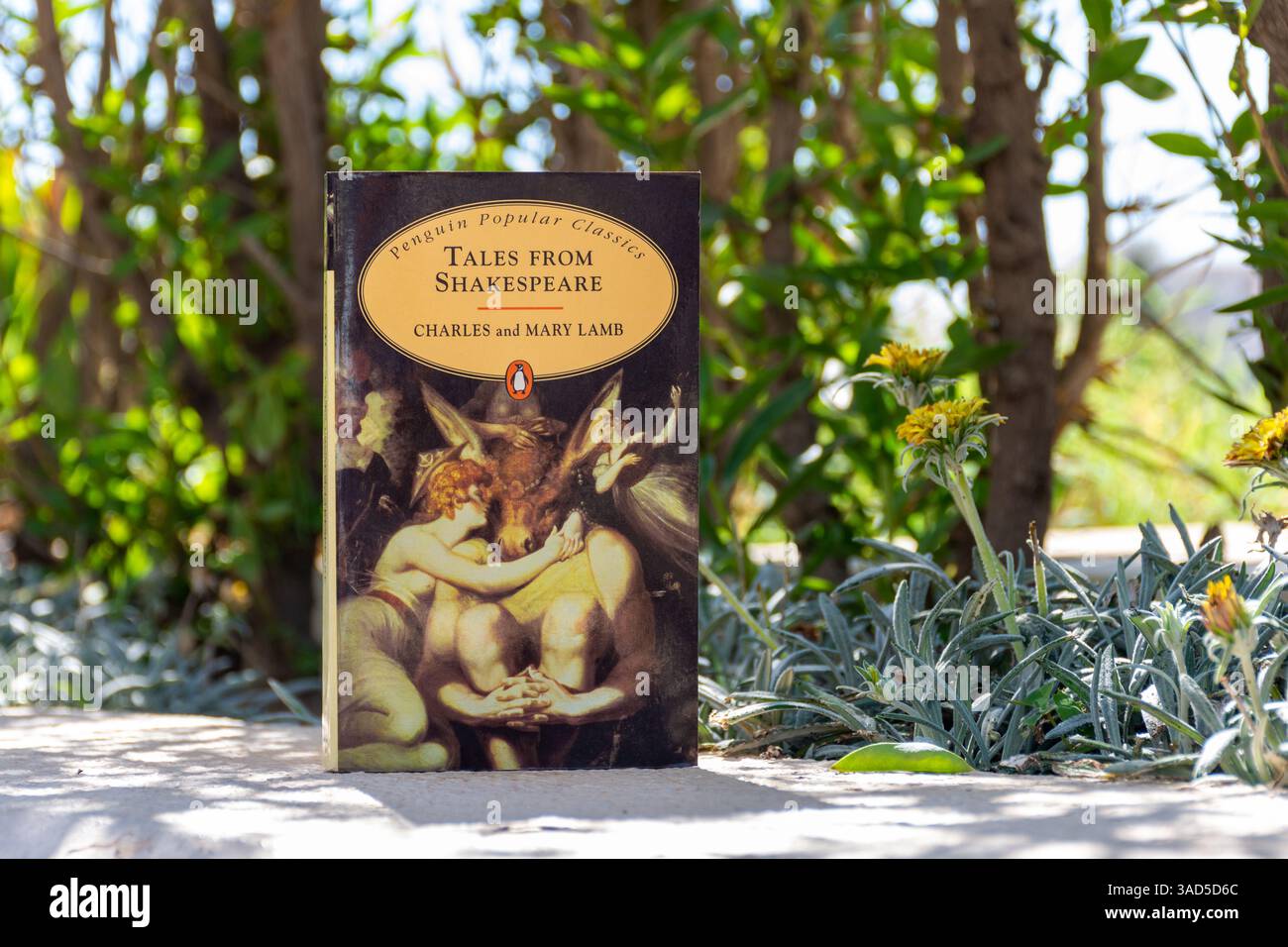 Charles lambs library hi-res stock photography and images - Alamy