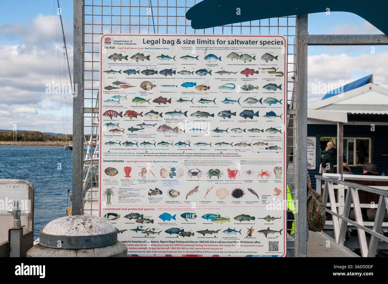 Fishing regulations sign showing legal bag and size limits for ...