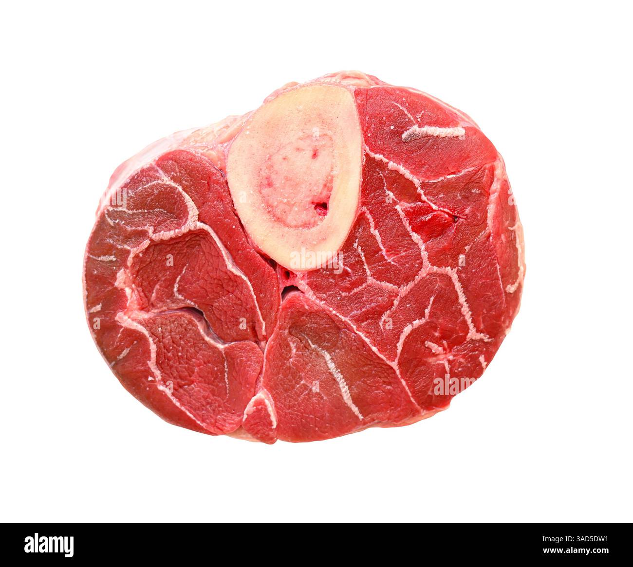 Fresh beef shank with bone, raw meat isolated on white background ...