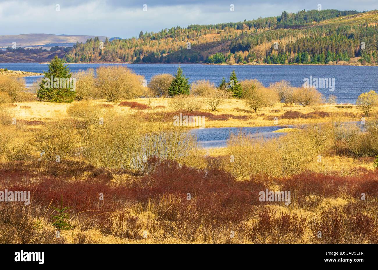 Loch Doon in early Springtime. Loch Doon is a freshwater loch in ...