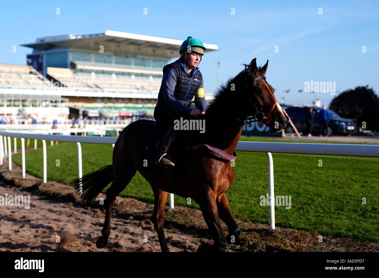 John Joseph Hanlon trained horse Hewick on the gallops ahead of day ...