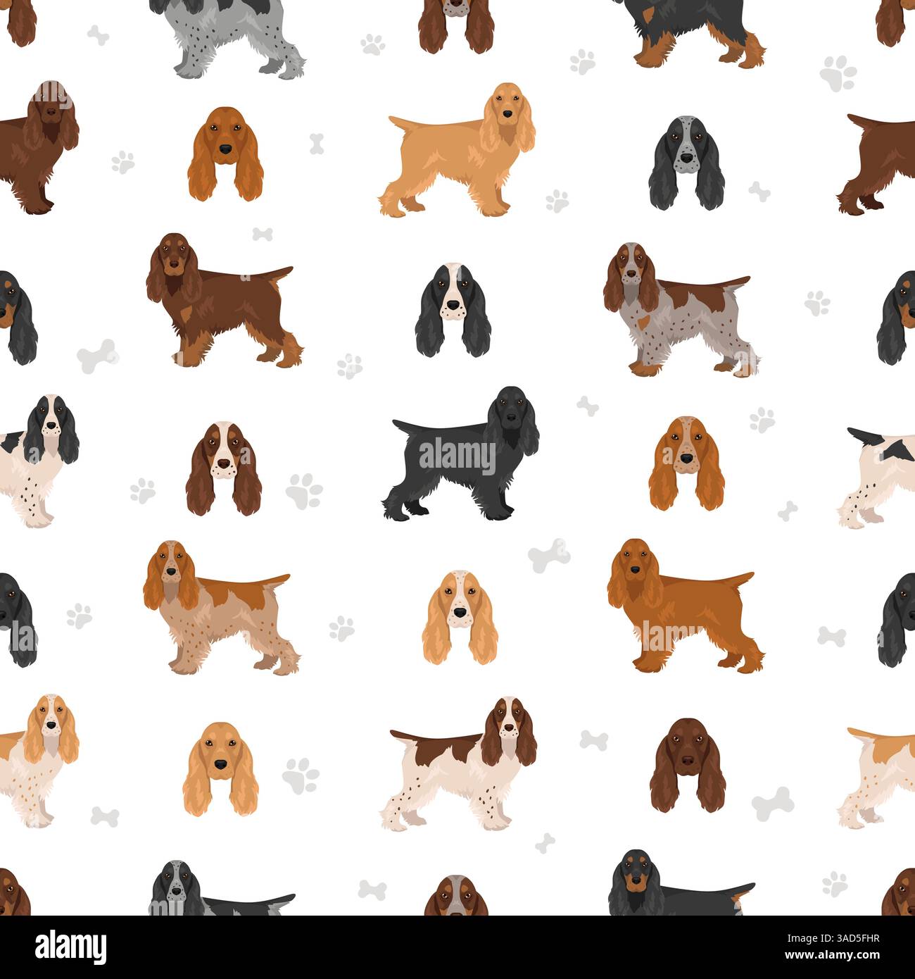 English cocker spaniel show type clipart and seamless pattern ...