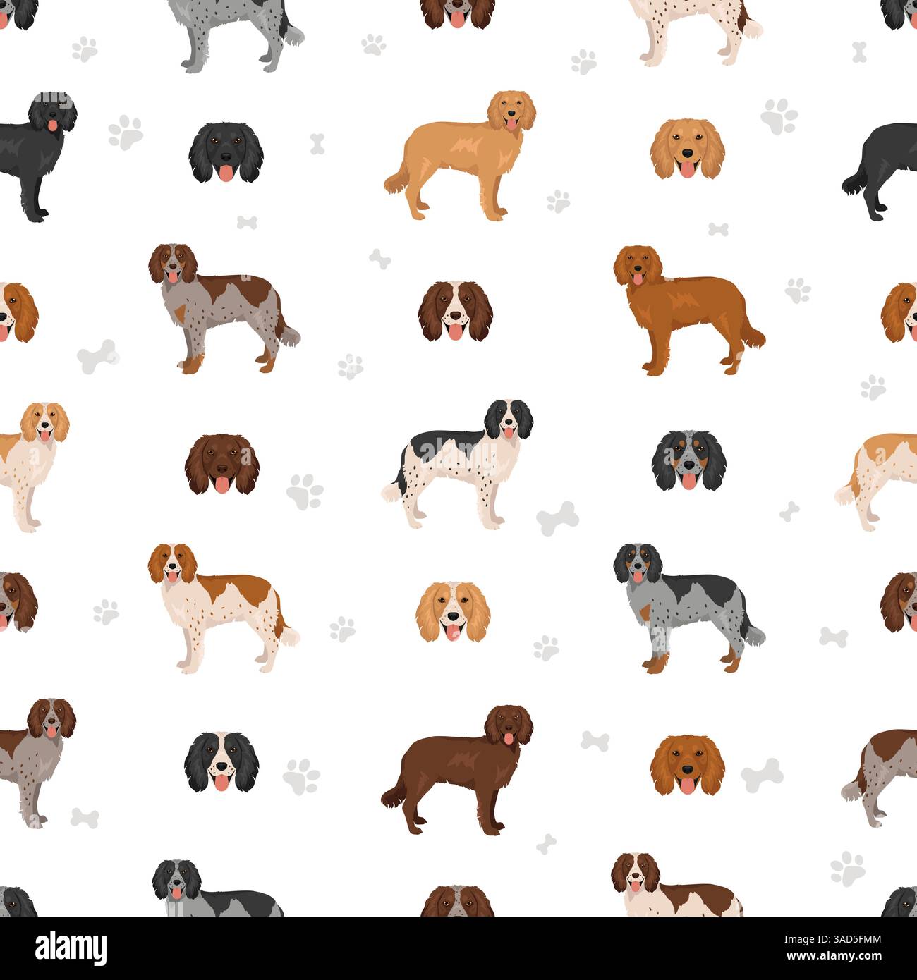 Working cocker spaniel Stock Vector Images - Alamy
