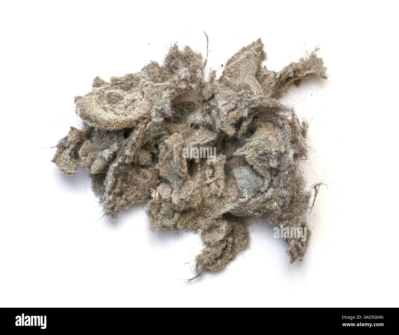 Pile of dust and dirt from vacuum cleaner, isolated on white Stock ...
