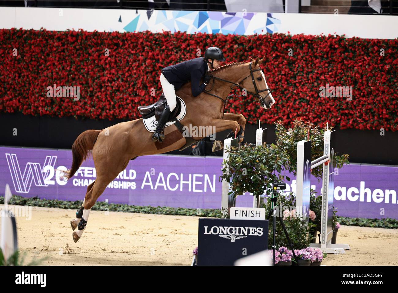 Alex Codina Leria of Spain with My Passion vd Donkhoeve during the ...