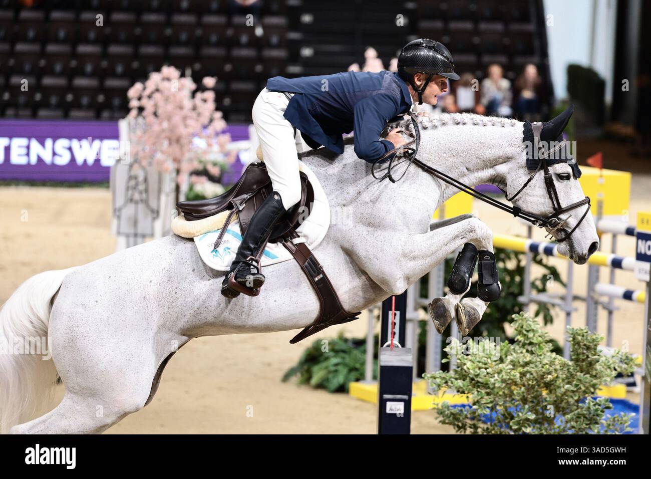 Guillaume Gillioz of Switzerland with Remix during the Prize of Swiss ...
