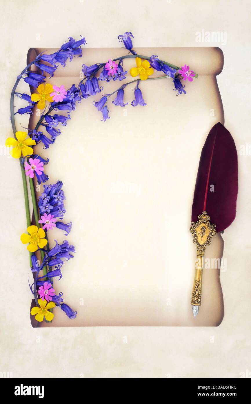 Springtime wildflower flowers on scroll border on parchment paper ...