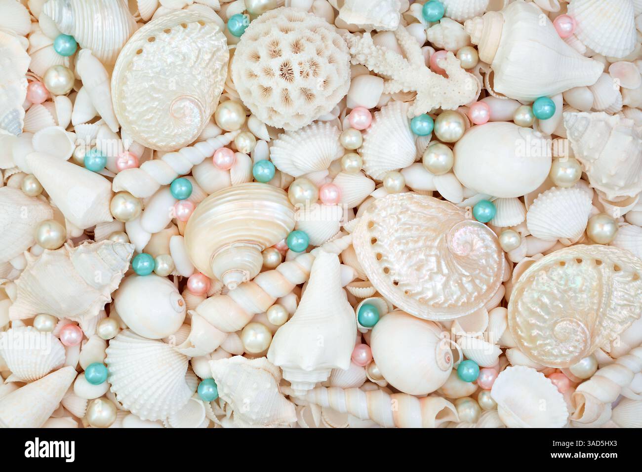 Seashell and white blue and pink oyster pearls background with white ...