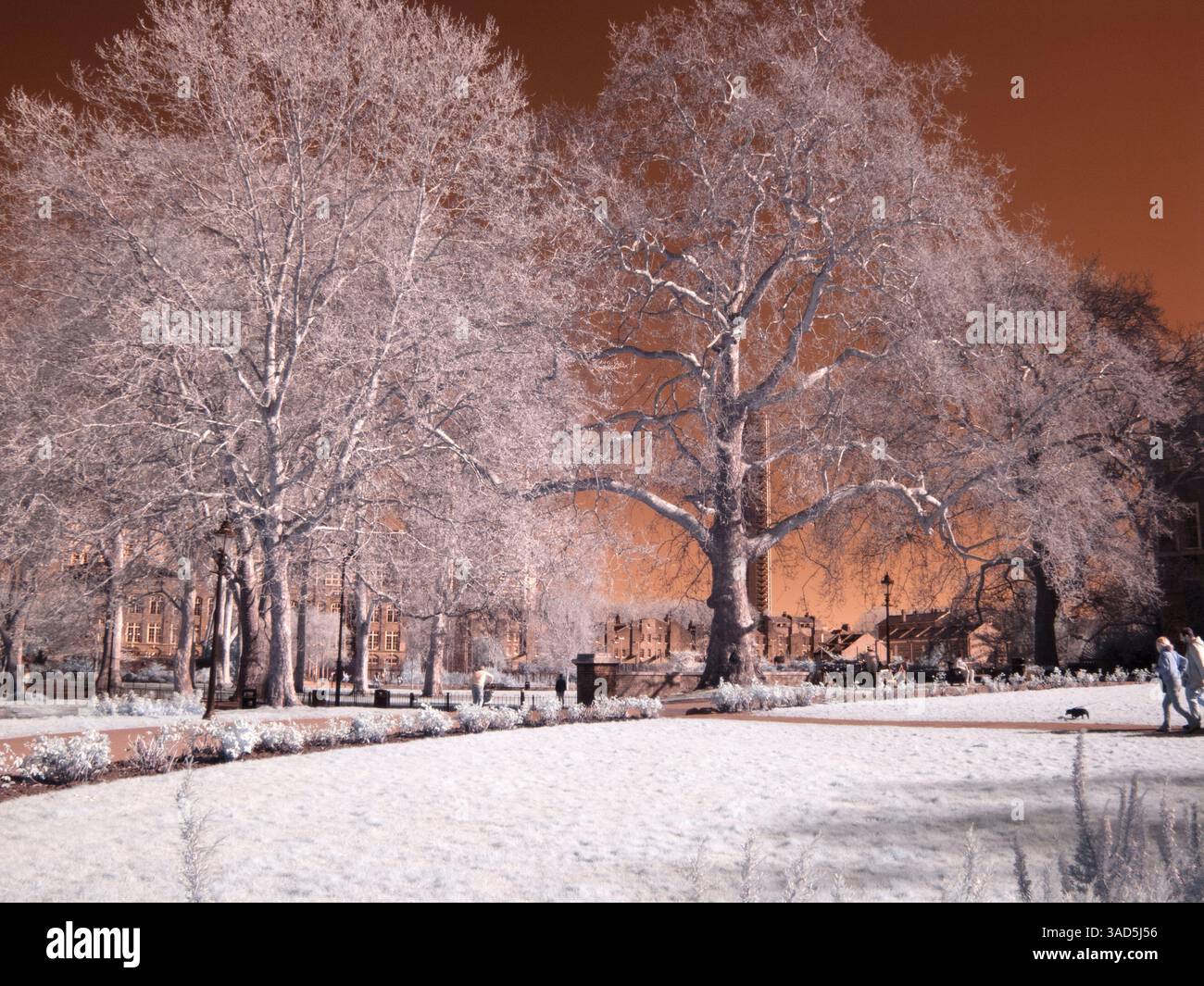 Mary Geraldine Harmsworth park by the Imperial War Museum Lambeth ...