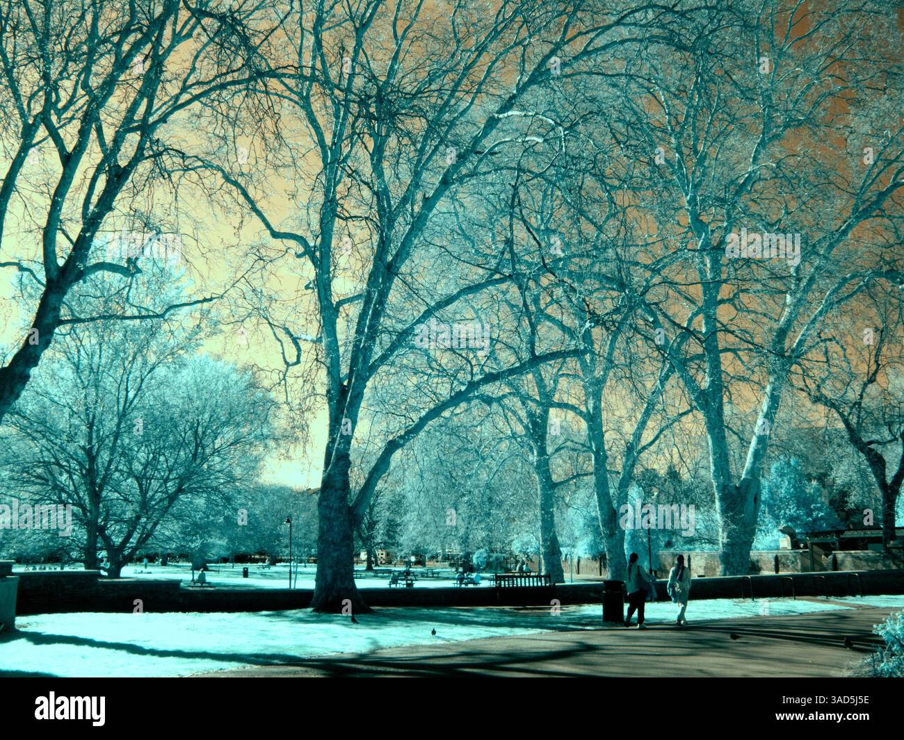 Mary Geraldine Harmsworth park by the Imperial War Museum Lambeth ...