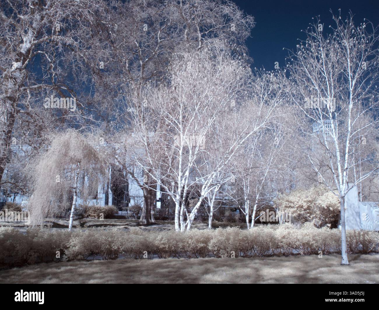 Mary Geraldine Harmsworth park by the Imperial War Museum Lambeth ...