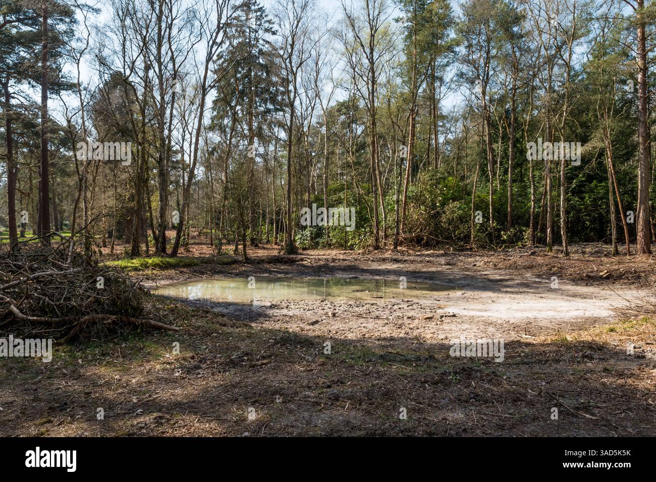 Restoration of an old pond or ghost pond lost to infilling, on the ...