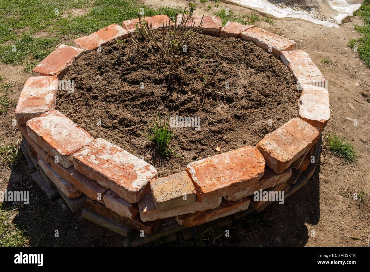 Herb garden made of old bricks. Circle shape Stock Photo - Alamy