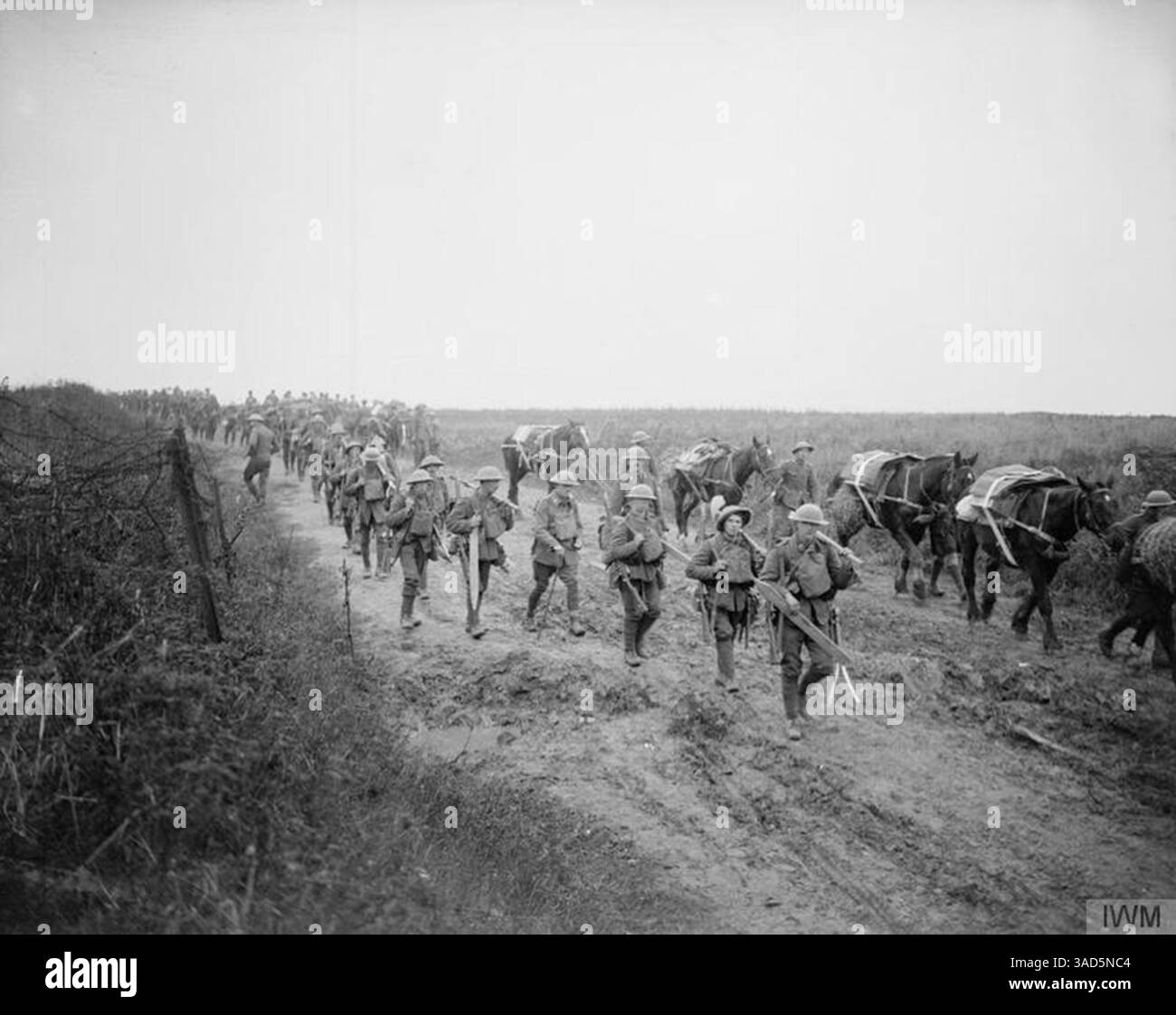 Men of the 16th (Service) Battalion, Royal Irish Rifles, the pioneer ...