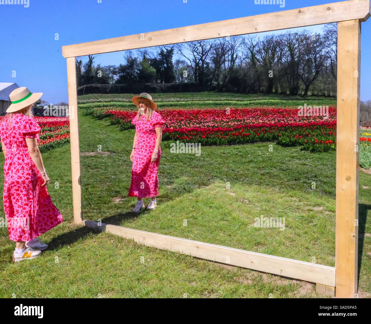 Tulley's Farm, Tulip Fest, Crawley West Sussex, UK. 05th Apr, 2025 ...