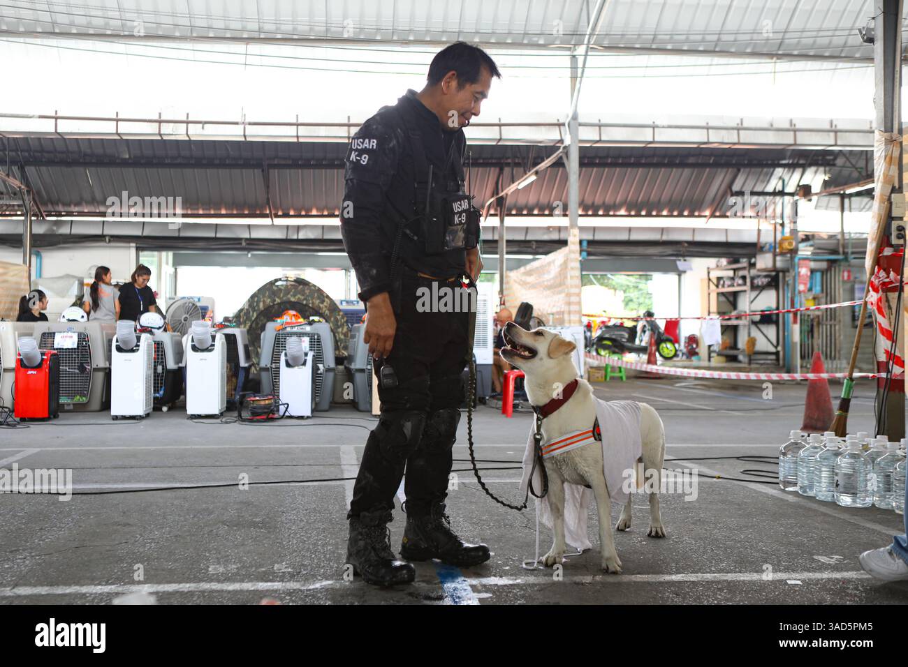 BANGKOK, THAILAND April 05, 2025 - K9 and SAR Dog Handler (USAR ...