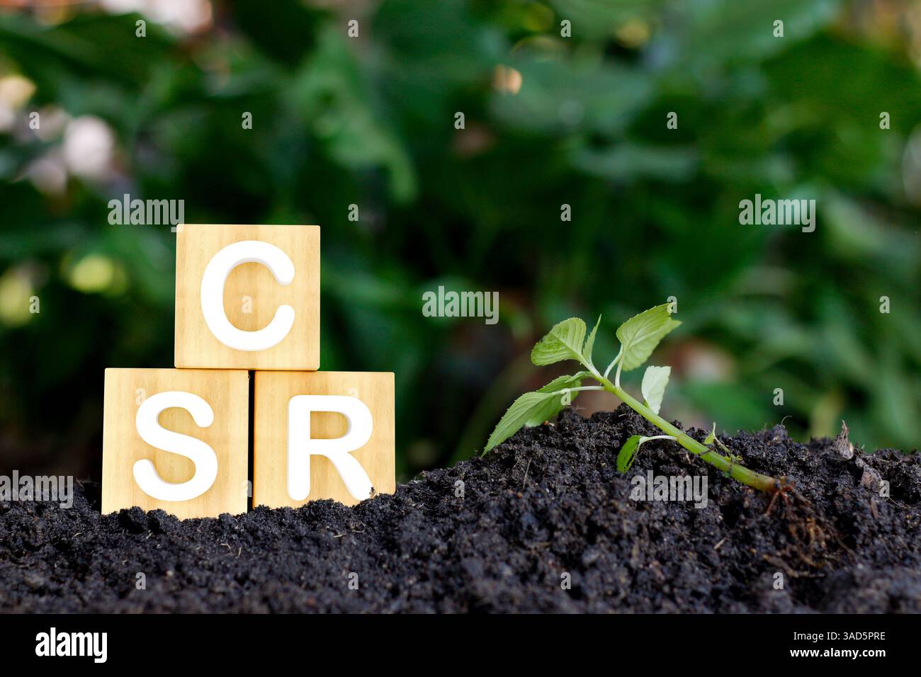 CSR concept with wooden blocks, green earth, and recycling icons ...
