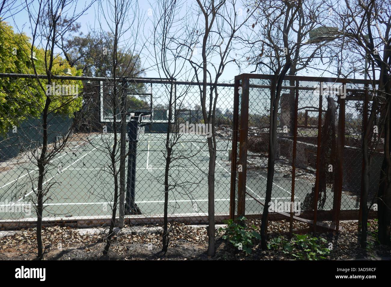 Pacific Palisades, California, USA 4th April 2025 Actor/Comedian Billy ...