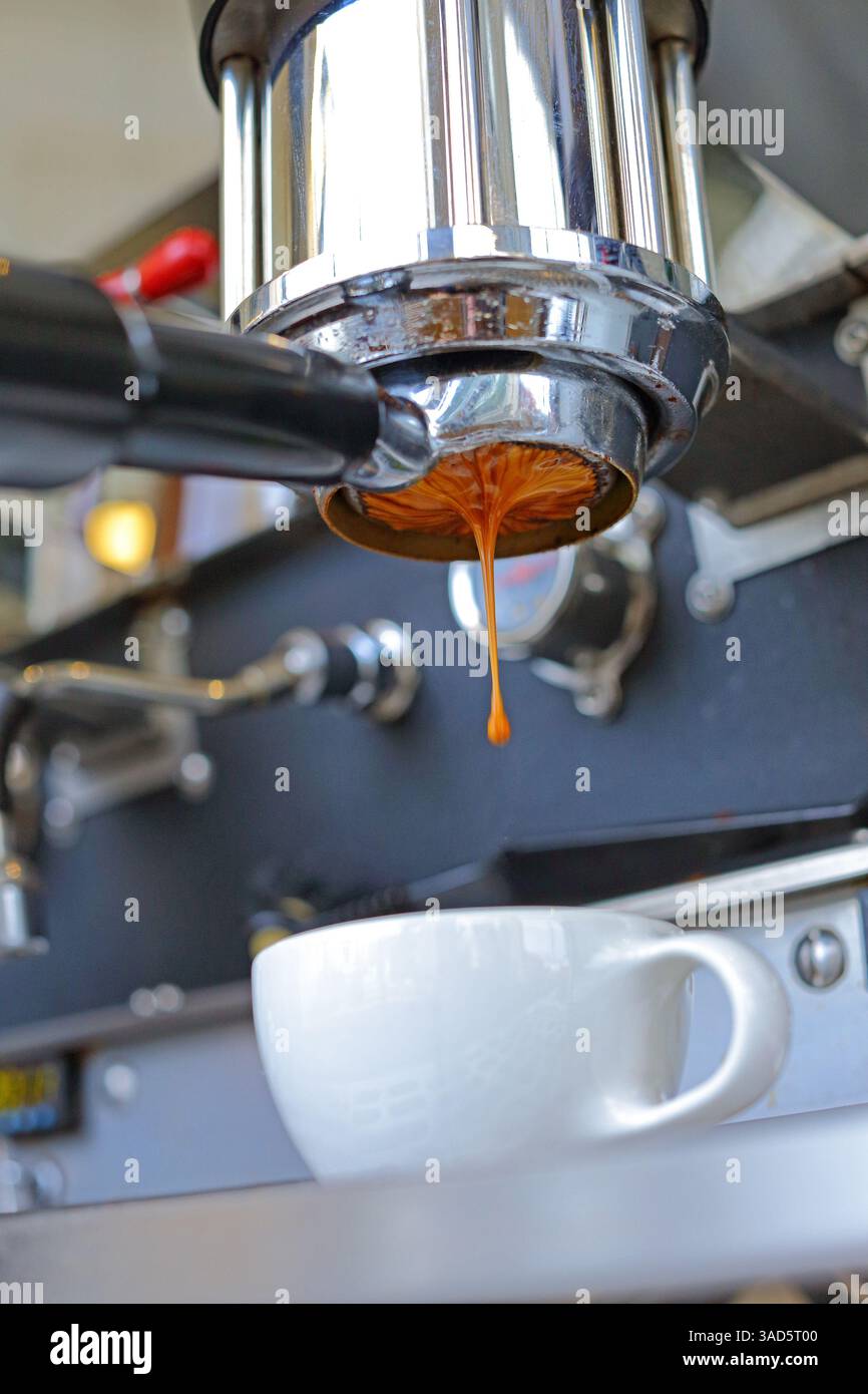 espresso dripping from portafilter of coffee machine into white cup ...